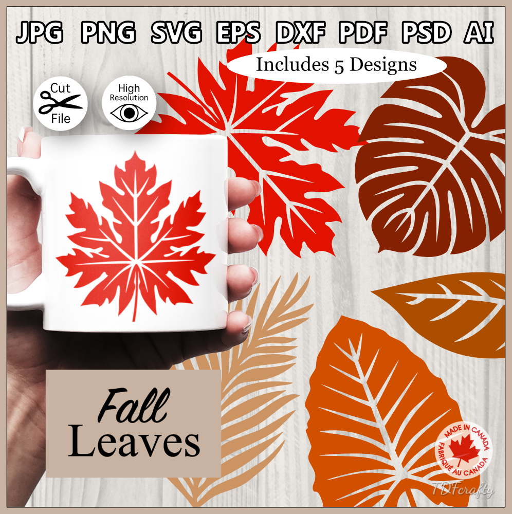Detailed Fall Leaf Bundle SVG Cut Files | The Digital Files – TDFcrafty