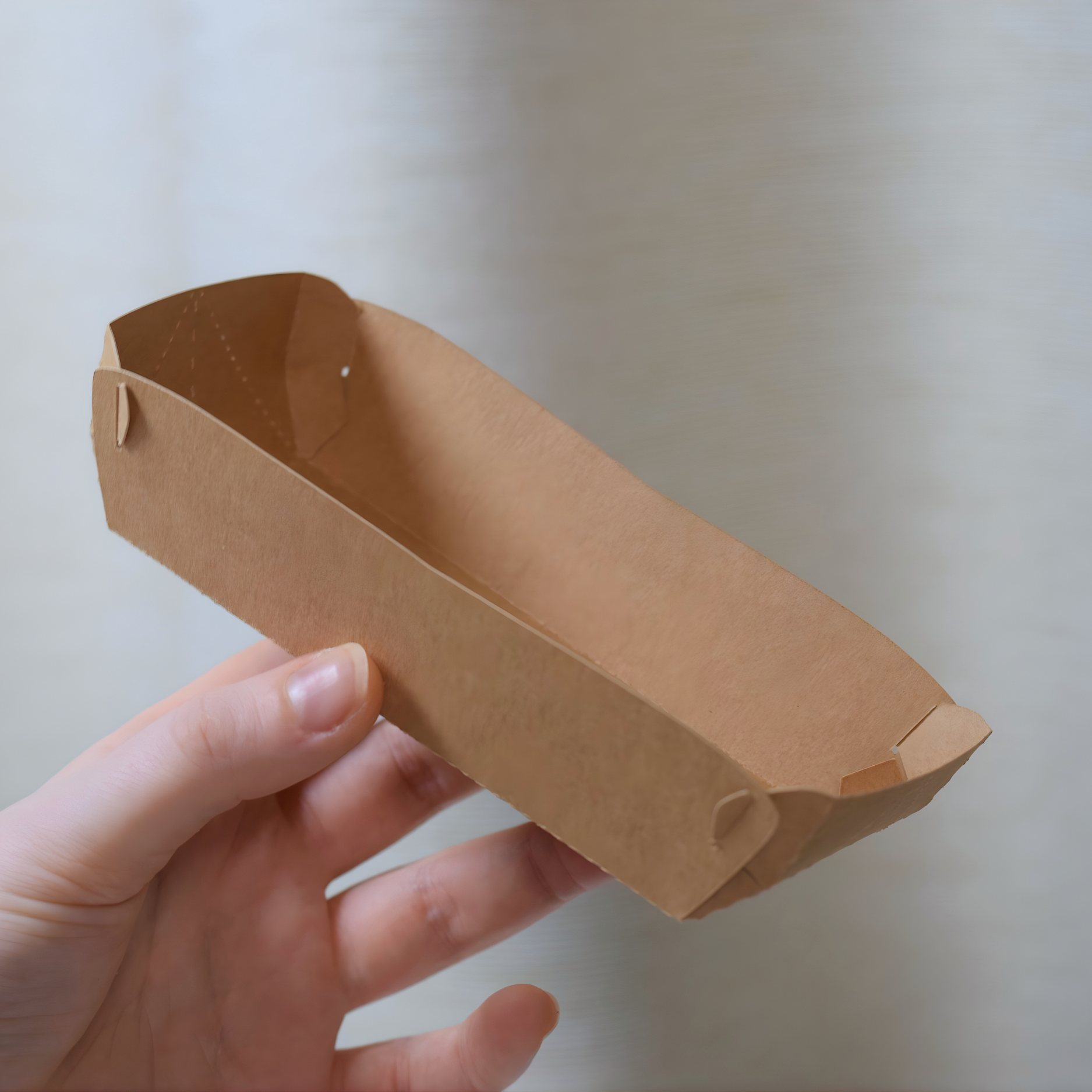 Snack Paper Plate – Mr. & Mrs. Crafty