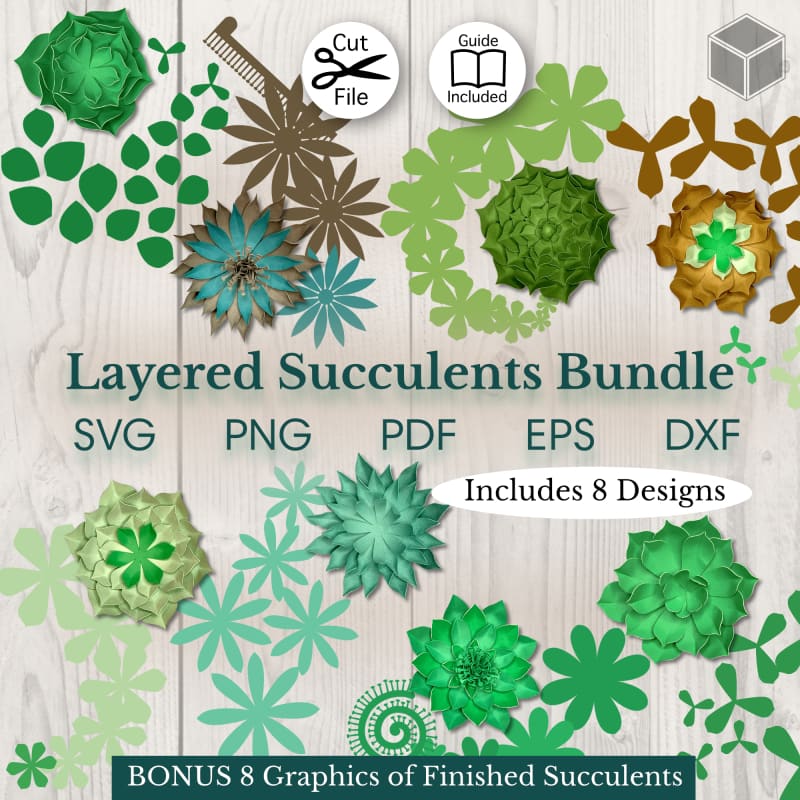 8 Layered Paper Succulents Templates SVG | The Digital Files – Mr ...