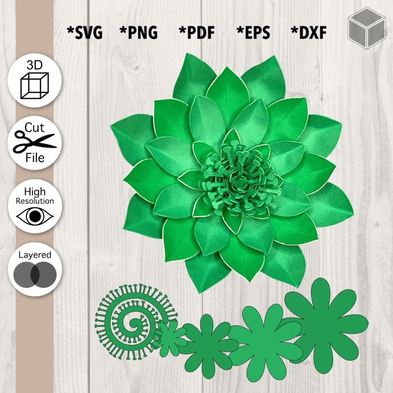 Stencil Lotus Flower Petal Pattern