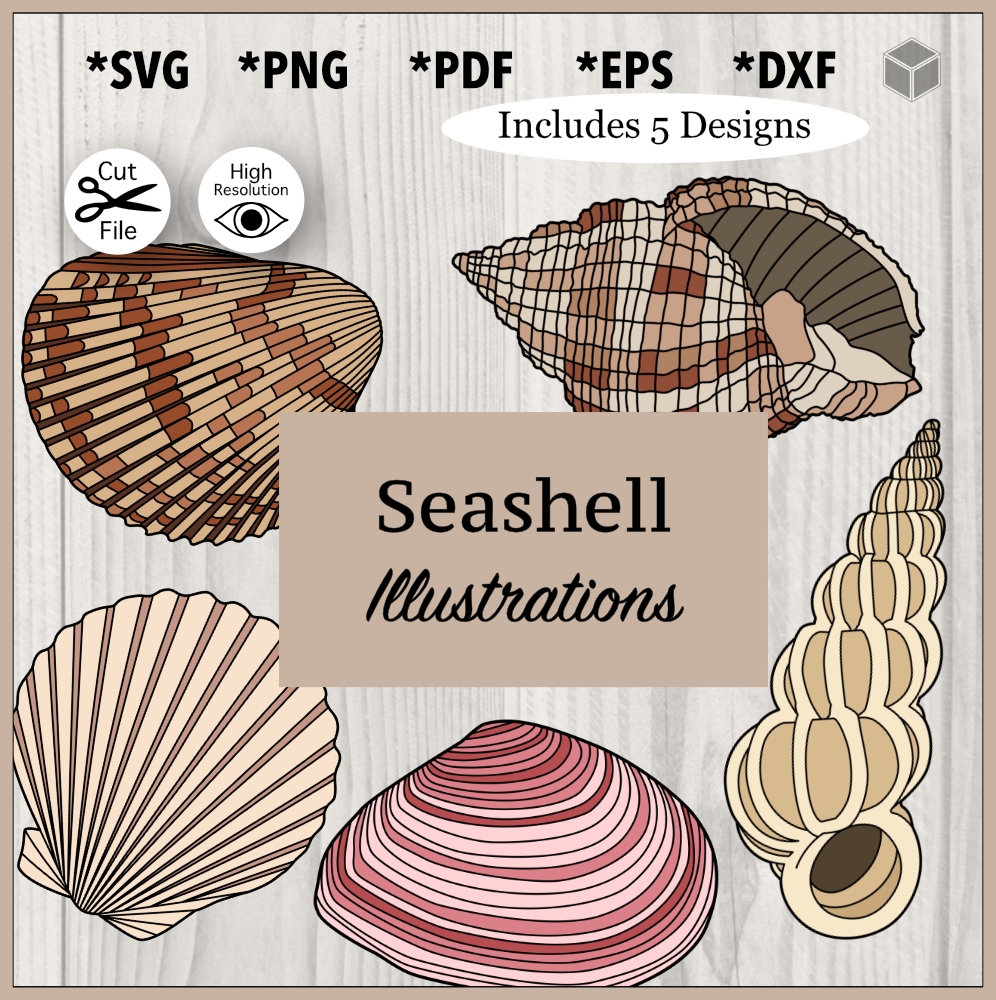 Purple Seashell Drawing
