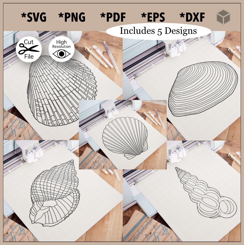 Detailed Seashells Outline Bundle SVG File | The Digital Files – TDFcrafty